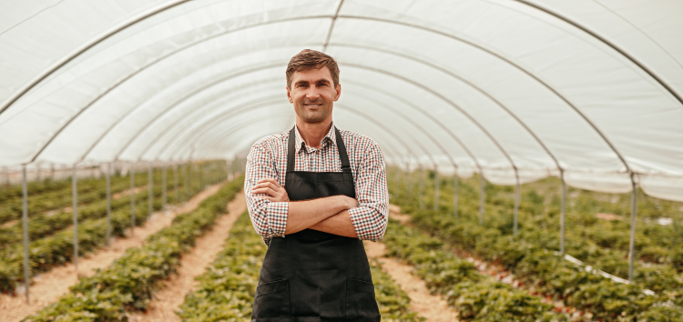 EBRD launches EU-backed guarantees to support Moldovan businesses - EU ...