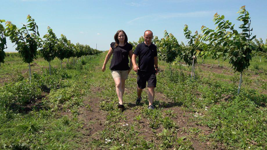 Livada Moldovei: povestea unei afaceri agricole cu vișin, cireși și ...